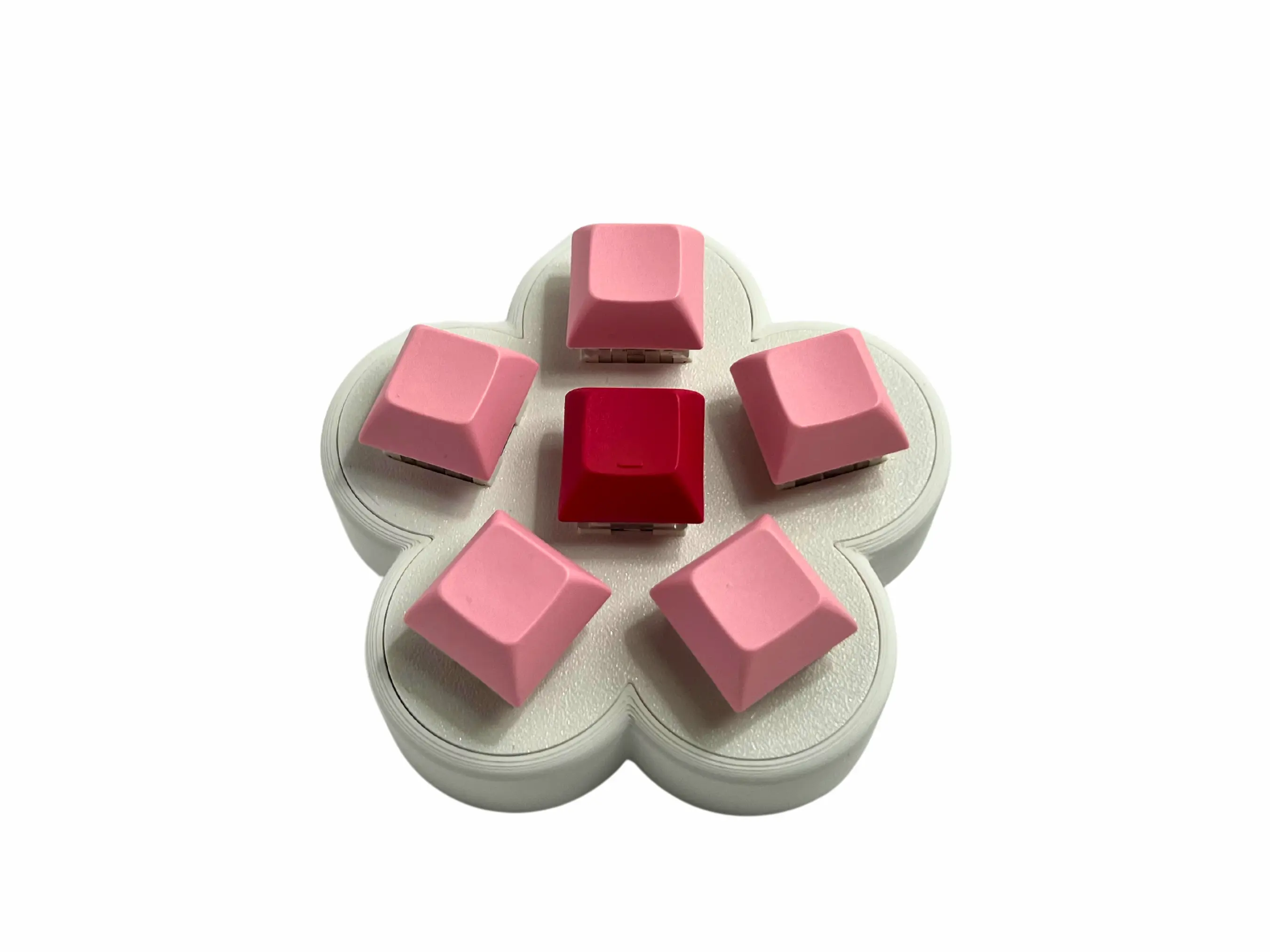 Introducing the Flowerpad: A Blend of Elegance and Functionality ...